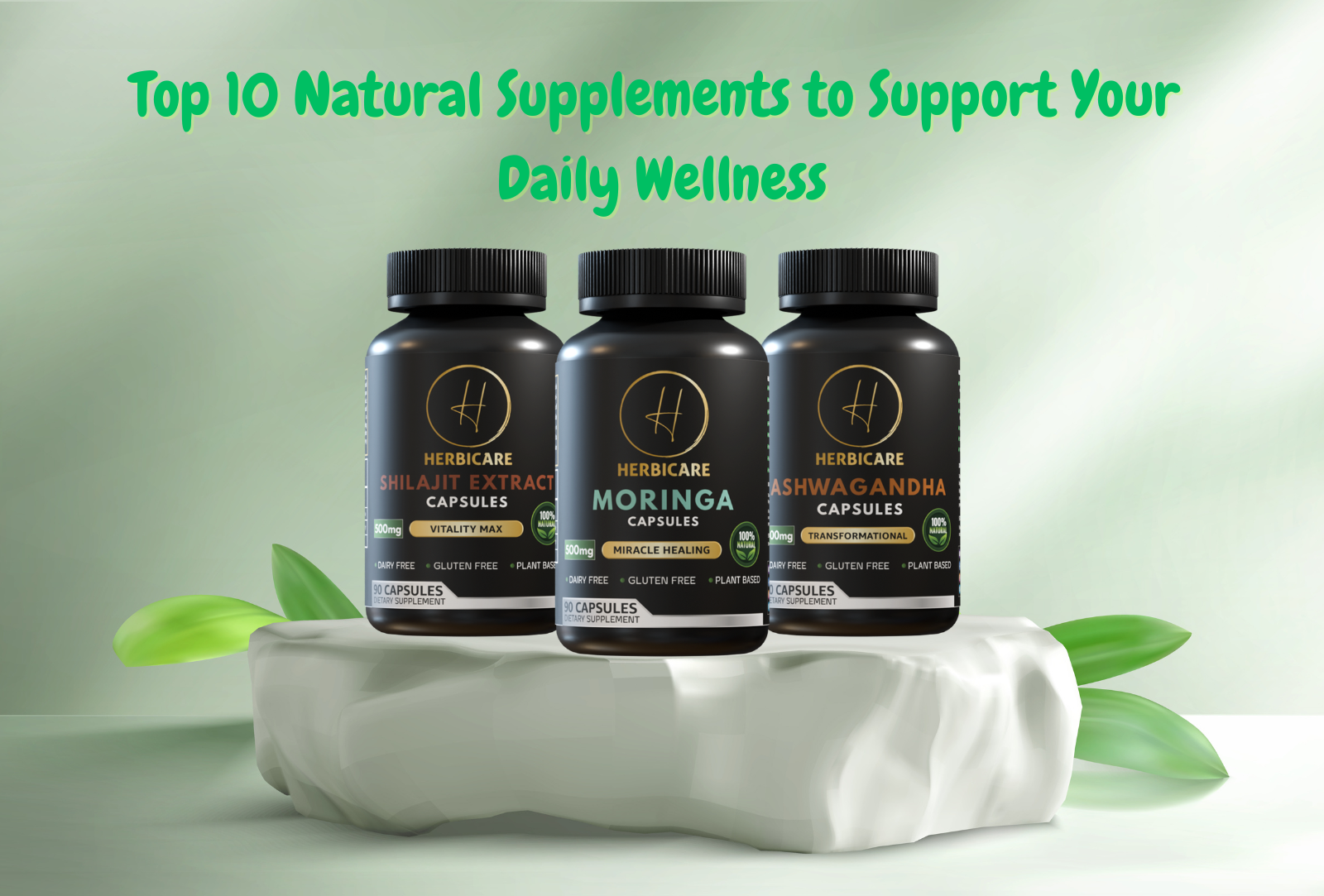 Top 10 Natural Supplements to Support Your Daily Wellness